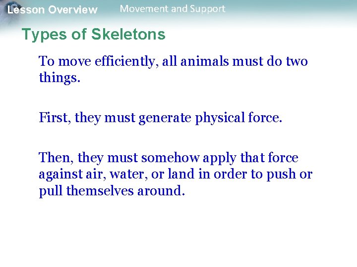 Lesson Overview Movement and Support Lesson Overview 28