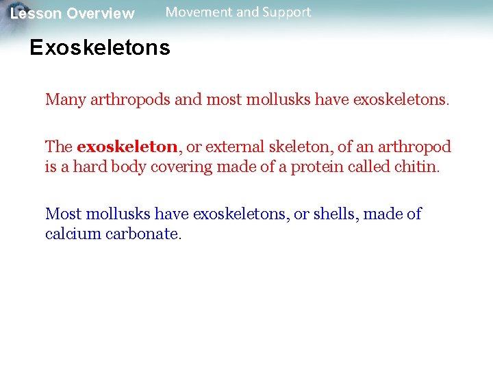 Lesson Overview Movement and Support Lesson Overview 28