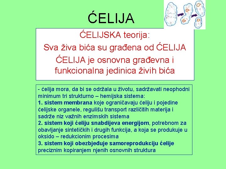 ANATOMIJA I MORFOLOGIJA BILJAKA MORFOLOGIJA BILJAKA fitomorfologija gr