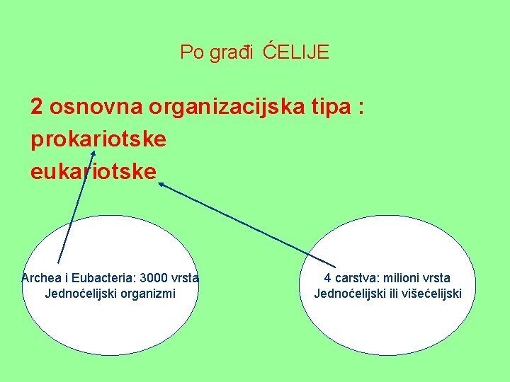 ANATOMIJA I MORFOLOGIJA BILJAKA MORFOLOGIJA BILJAKA fitomorfologija gr