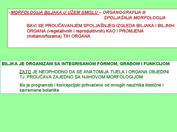ANATOMIJA I MORFOLOGIJA BILJAKA MORFOLOGIJA BILJAKA fitomorfologija gr