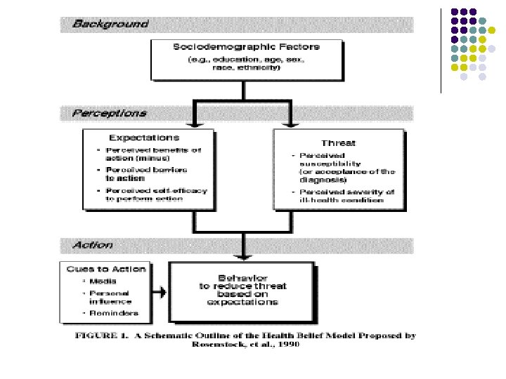 The Health Belief Model Historical Origins of the