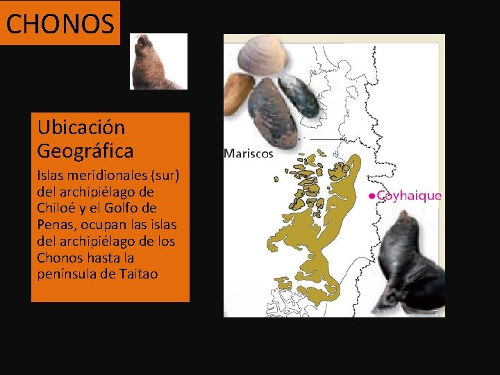 BANDAS CANOERAS BANDAS CANOERAS Y TERRESTRES CHONOS Ubicacin