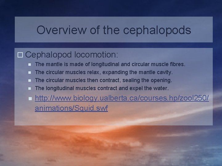 On Cephalopods By Claire and Asparaguy What is