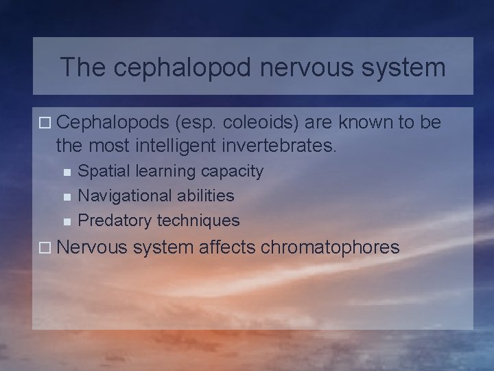 On Cephalopods By Claire and Asparaguy What is