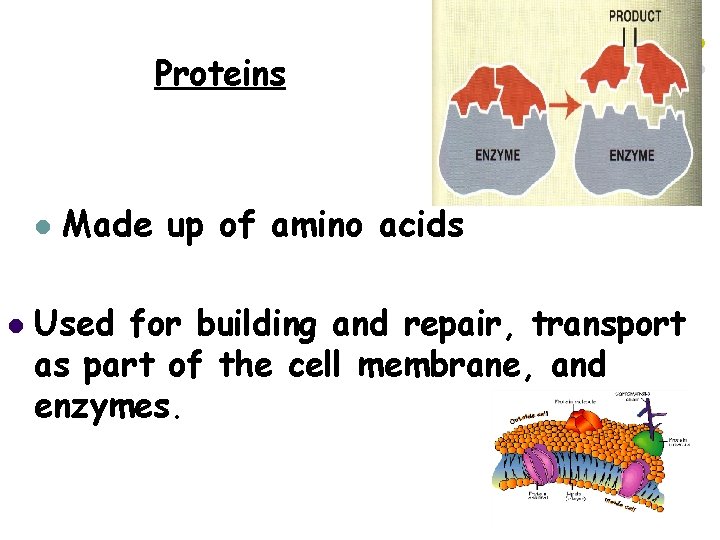 MACROMOLECULES OR BIOMOLECULES 4 Groups of Biomolecules Carbohydrates