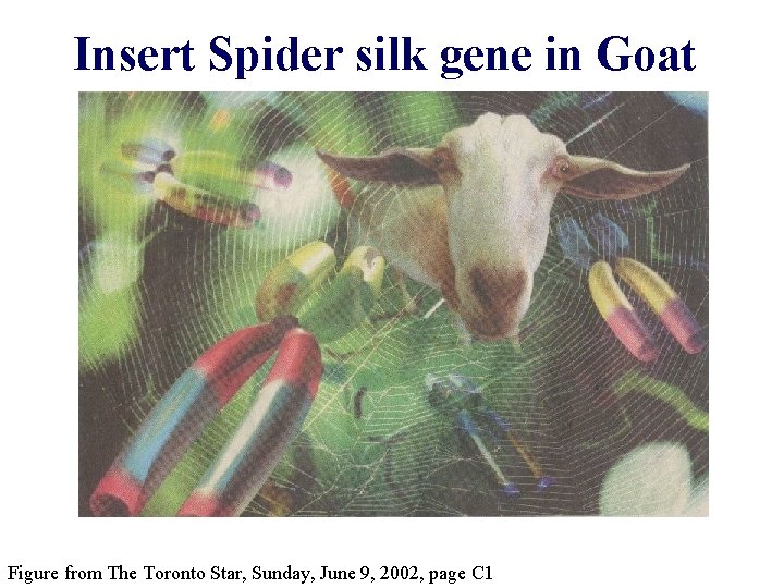 New Advances in Cardiology September 2002 Manila Philippines