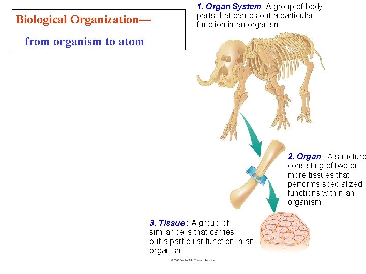 Chapter 1 Lecture Notesan introduction to Biology Biol