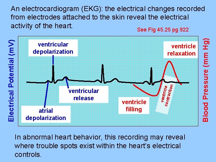 Copyright Notice This Power Point slide set is