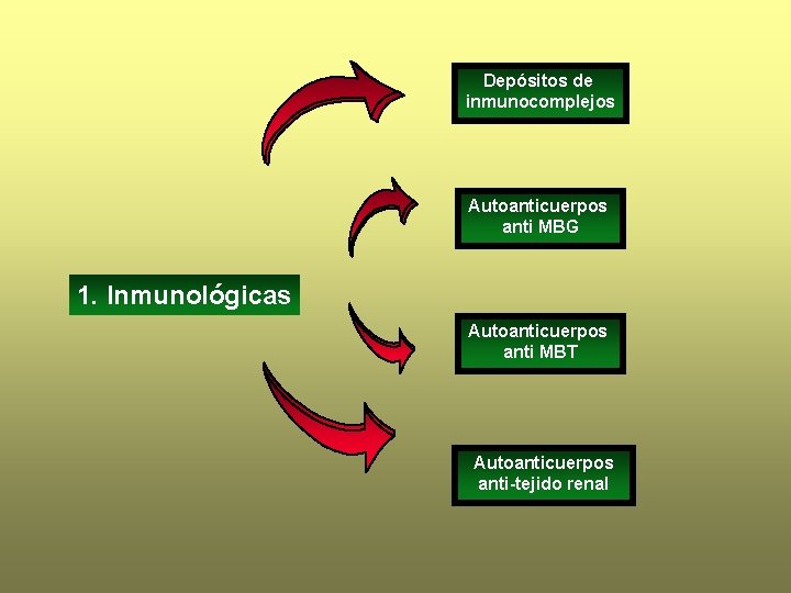 Fisiopatologa Renal Bioingeniera UNER Ctedra de Fisiopatologa Dr