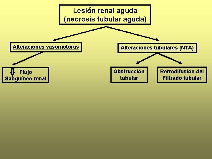 Fisiopatologa Renal Bioingeniera UNER Ctedra de Fisiopatologa Dr