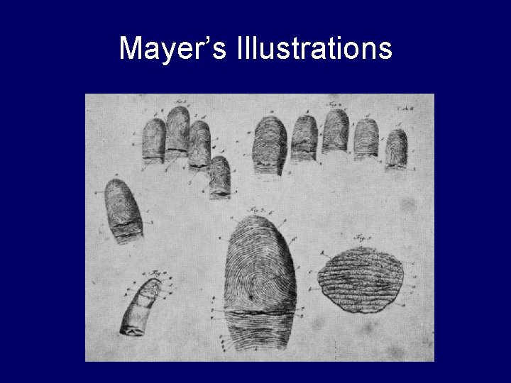 Historical and Scientific Foundation of Friction Skin Identification