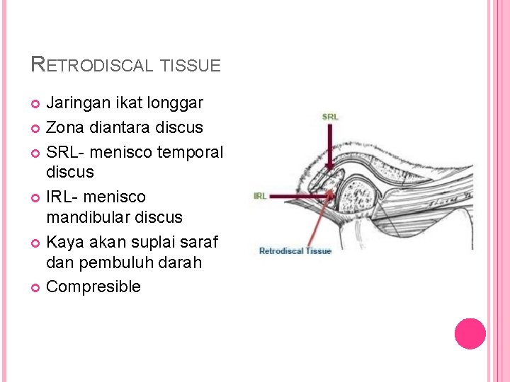 TULANG RAHANG TMJ Fidya drg MSi TENGKORAK Kerangka