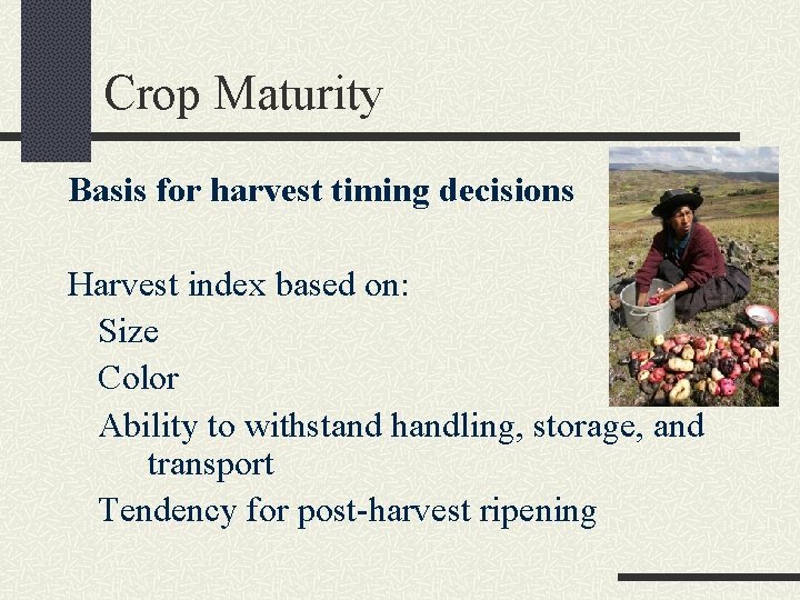 Vegetable Crops PLSC 451551 Lesson 7 Harvest Handling