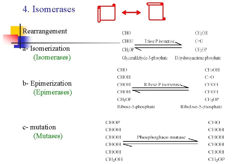 Microbial Enzymes 2 nd Year Students MicrobiologyChemistry Prof