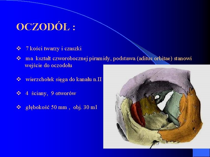 ANATOMIA I FIZJOLOGIA NARZDU WZROKU I Katedra i