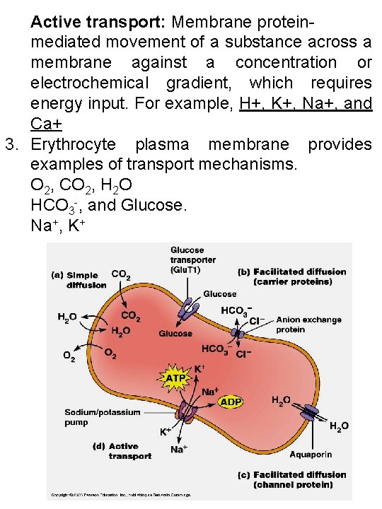 Chapter 8 Transport Across Membranes Overcoming The Permeability
