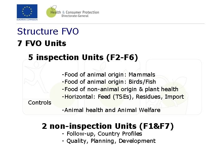 Overview of the FOOD AND VETERINARY OFFICE Activities