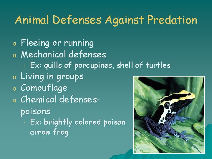 Chapter 5 Ecosystems and Living Organisms Case Study