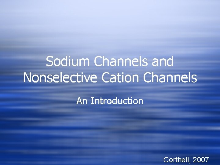 Sodium Channels and Nonselective Cation Channels An Introduction