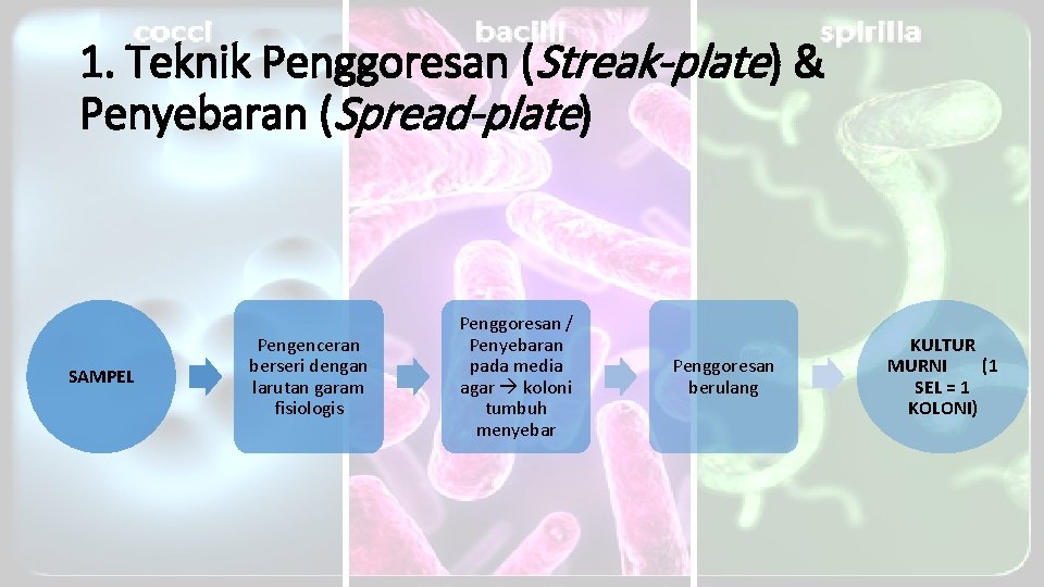 ISOLASI DAN IDENTIFIKASI BAKTERI 9 Mei 2016 SUMBER