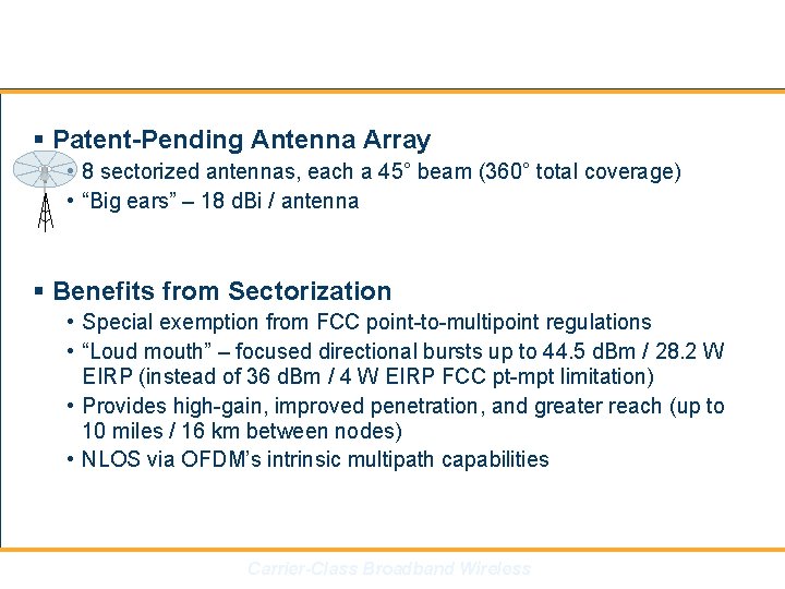 Introduction to Sky Pilot Networks November 2005 CarrierClass
