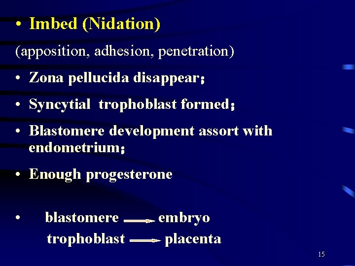 Physiology of pregnancy Department of obstetric and gynecology