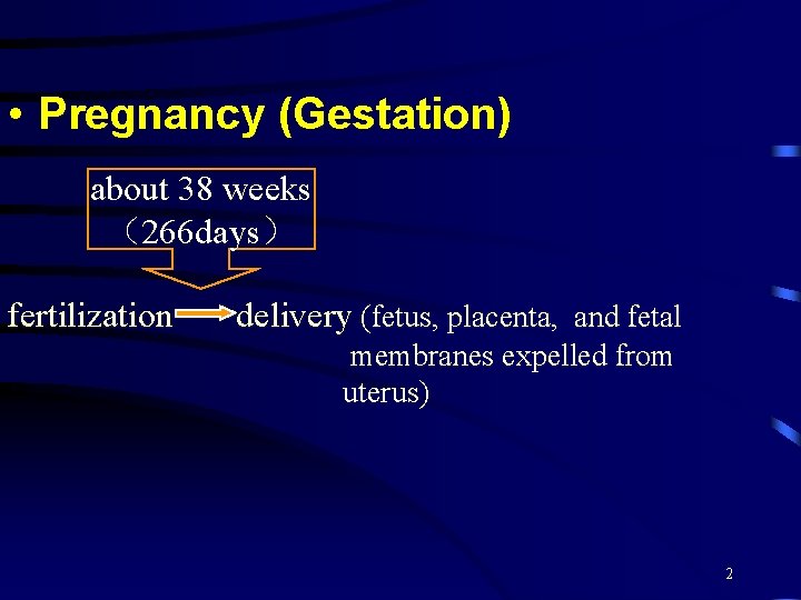 Physiology of pregnancy Department of obstetric and gynecology