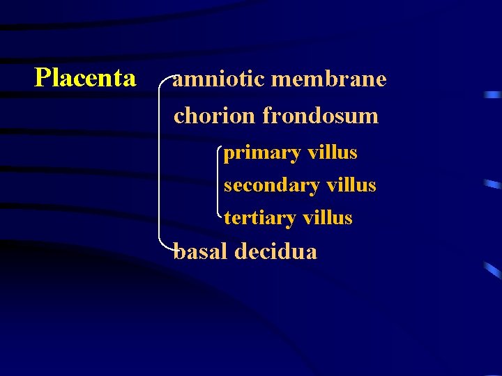 Physiology of pregnancy Department of obstetric and gynecology