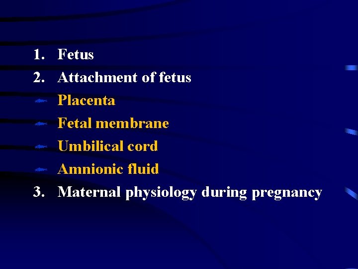 Physiology of pregnancy Department of obstetric and gynecology