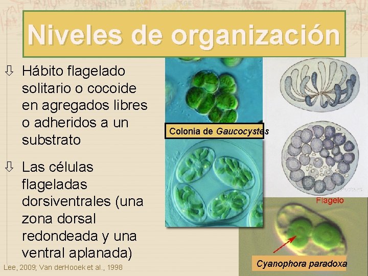 UNIVERSIDAD AUTNOMA DEL ESTADO DE MXICO FACULTAD DE
