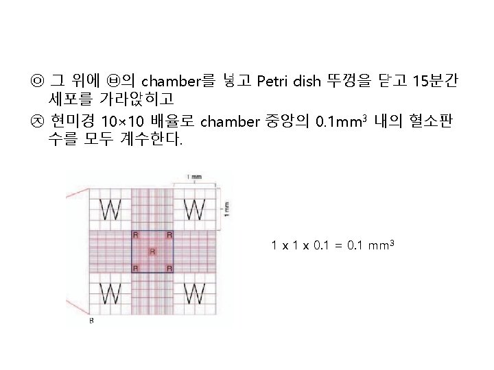 Blood Cell Counts platelet eosinophil p 59 ReesEcker