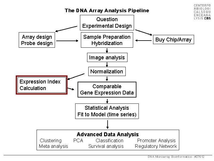 Normalization Getting the numbers comparable DNA Microarray Bioinformatics