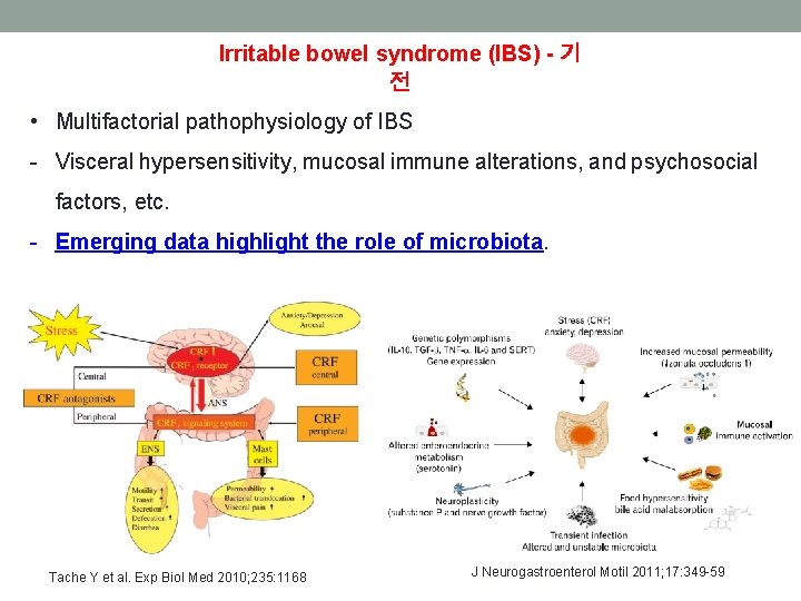 IBS AND MICROBIOTA Nayoung Kim MD Ph D