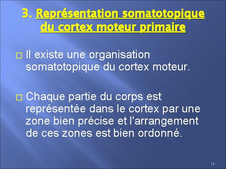 LE SYNDROME PYRAMIDAL 1 Les voies pyramidales sont