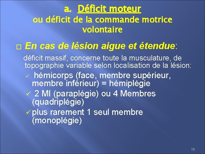 LE SYNDROME PYRAMIDAL 1 Les voies pyramidales sont