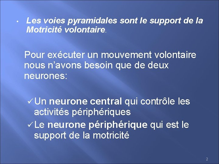 LE SYNDROME PYRAMIDAL 1 Les voies pyramidales sont