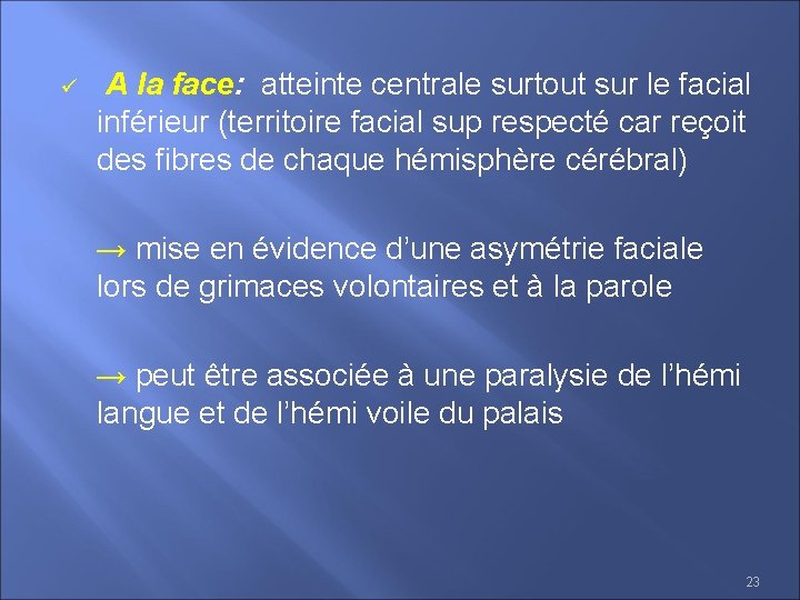 LE SYNDROME PYRAMIDAL 1 Les voies pyramidales sont