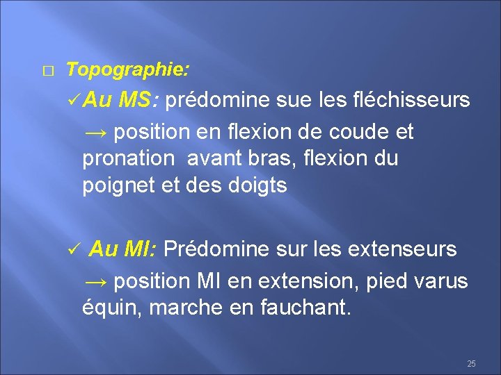 LE SYNDROME PYRAMIDAL 1 Les voies pyramidales sont