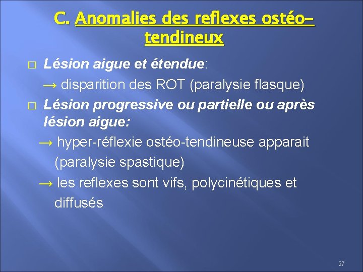 LE SYNDROME PYRAMIDAL 1 Les voies pyramidales sont
