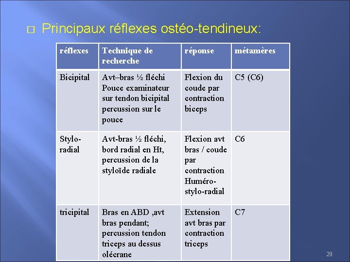 LE SYNDROME PYRAMIDAL 1 Les voies pyramidales sont