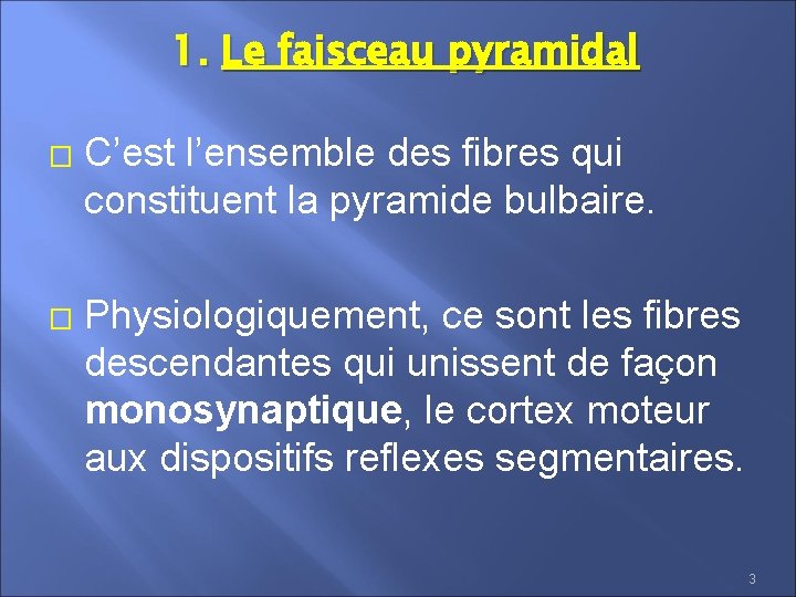 LE SYNDROME PYRAMIDAL 1 Les voies pyramidales sont