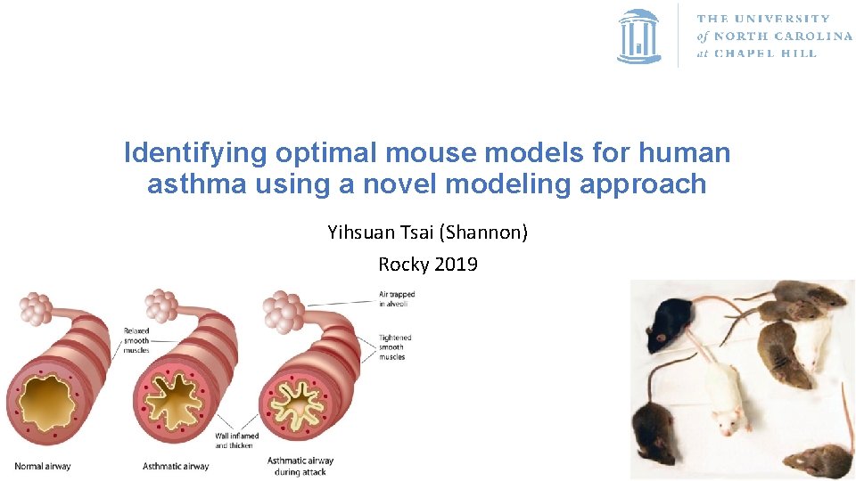 Identifying optimal mouse models for human asthma using