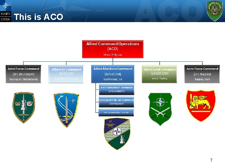 Managing Stakeholders Expectations Michael Adubato SHAPE Language Testing