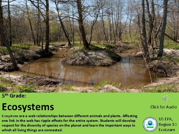 5 th Grade Ecosystems are a web relationships