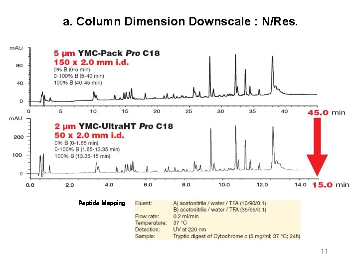 HPLC Column Basic Bene Technology MKT 1 1