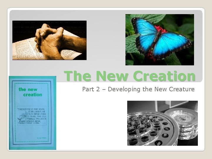 The New Creation Part 2 Developing the New