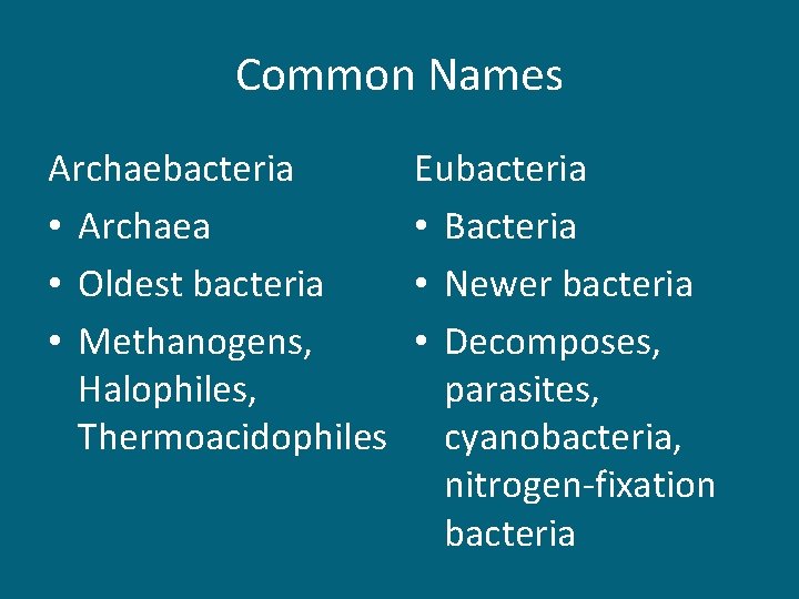 Bacteria Kingdom Notes These will be used for