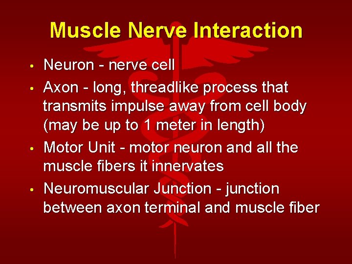 The Muscular System Functions of Muscle Tissue Movement