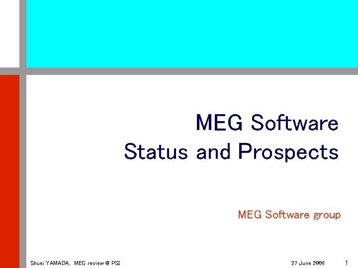 MEG Software Status and Prospects MEG Software group